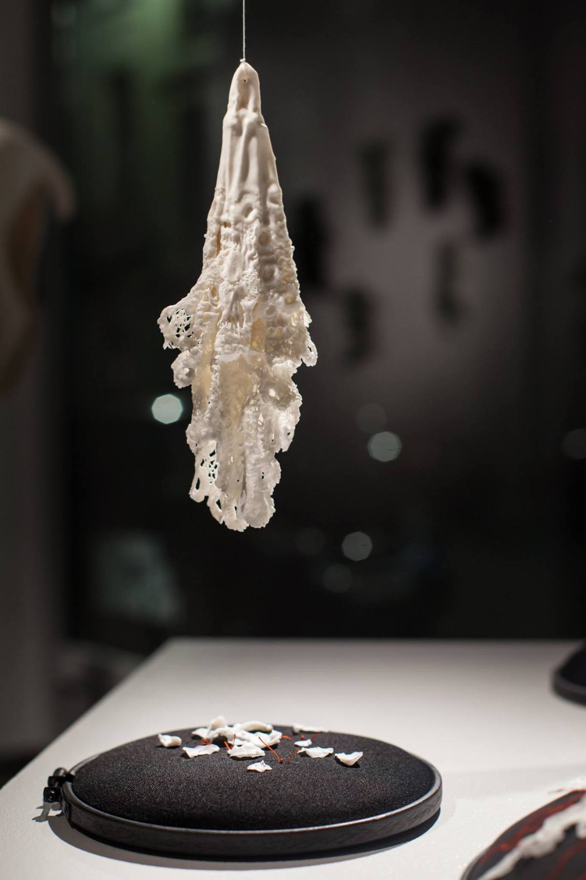 « Animals will save the world » au LKFF Art & Sculpture Projects – Ma ...